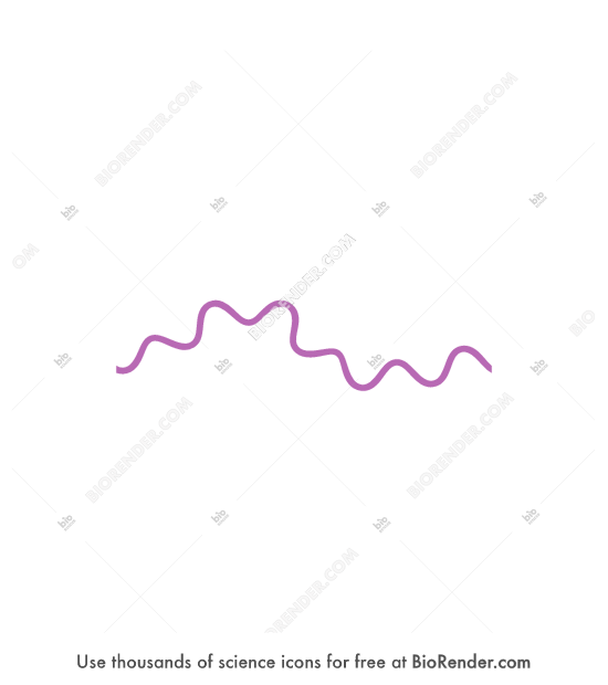 Free RNA (squiggle 2) Icons, Symbols & Images | BioRender