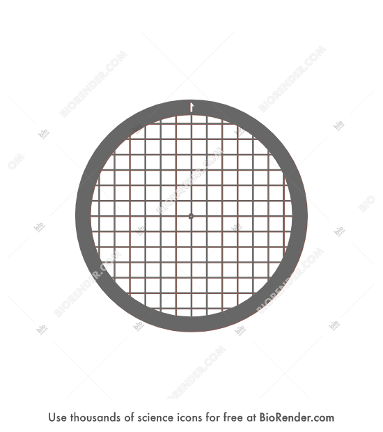 Free TEM grid (100 mesh) Icons, Symbols & Images | BioRender