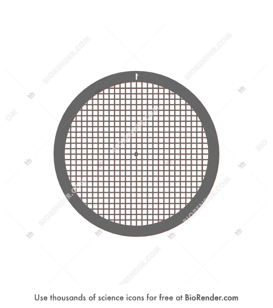 Free TEM grid (200 mesh) Icons, Symbols & Images | BioRender