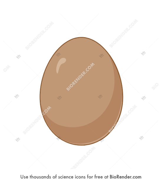Chicken Egg Clipart