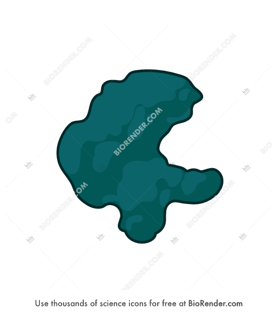 Free Generic protein (with groove) Icons, Symbols & Images | BioRender