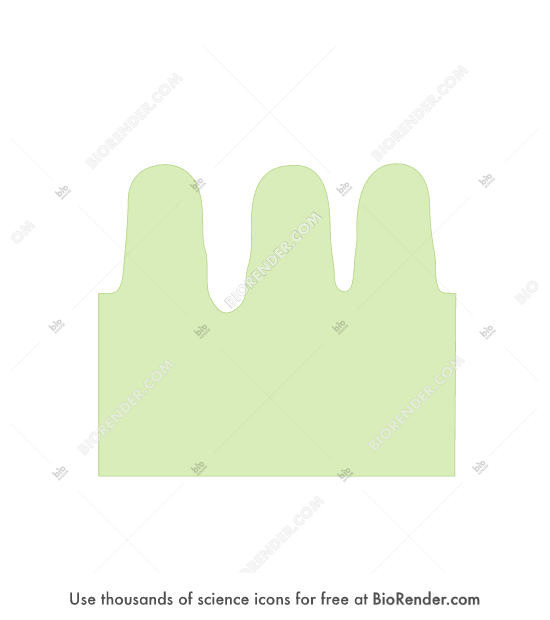 Free Duodenum epithelium mucous Icons, Symbols & Images | BioRender
