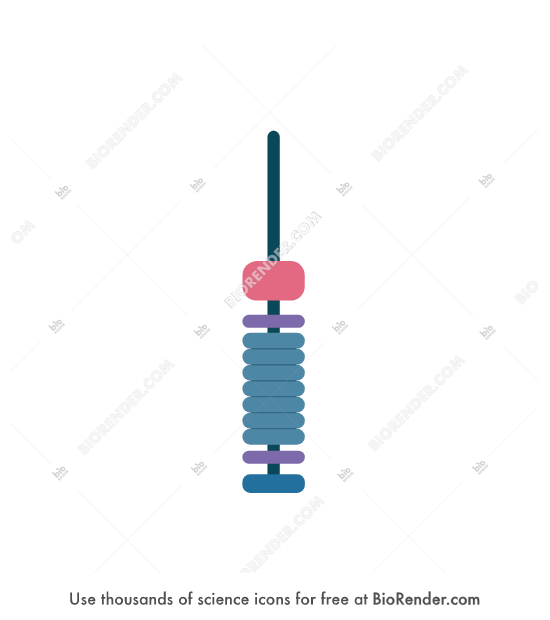 Free NOTCH4 (NICD) Icons, Symbols & Images | BioRender