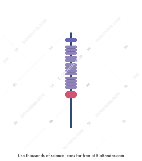 Free Serrate Icons, Symbols & Images | BioRender