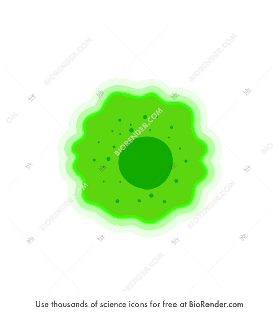 Free Cancer cell (fluorescent) Icons, Symbols & Images | BioRender
