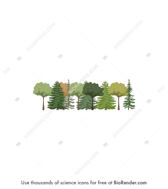 Free Forest Icons, Symbols & Images | BioRender