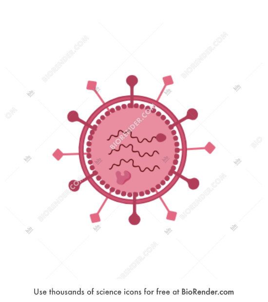Free Generic Virus Icons, Symbols & Images | BioRender