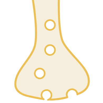 Free Synaptic cleft (presynaptic membrane with vesicles 2) Icons ...