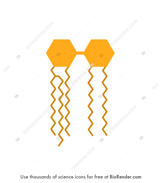 Free Lipid A (4) Icons, Symbols & Images | BioRender