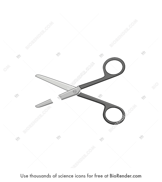 Free Scissors (with break) Icons, Symbols & Images | BioRender
