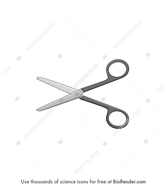 Free Scissors Icons, Symbols & Images | BioRender