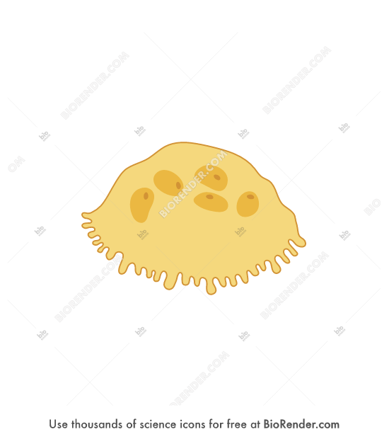 Free Osteoclast Icons, Symbols & Images | BioRender