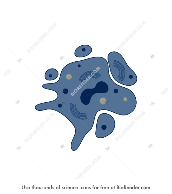 Free Stellate (apoptotic) Icons, Symbols & Images | BioRender