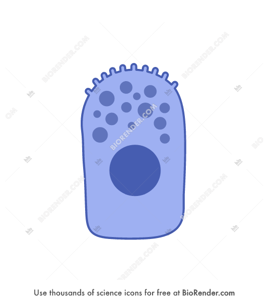 Free Club cell Icons, Symbols & Images | BioRender