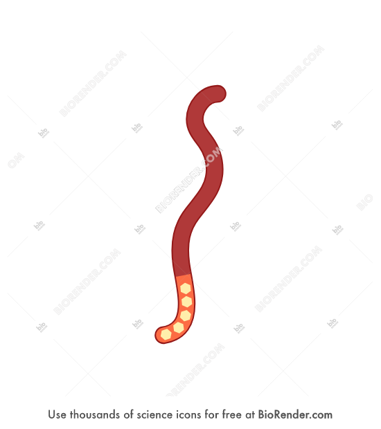 Free Heparin (unfractionated) Icons, Symbols & Images | BioRender