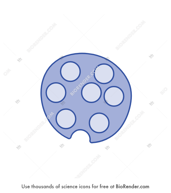 Free Endosome (late 3) Icons, Symbols & Images | BioRender