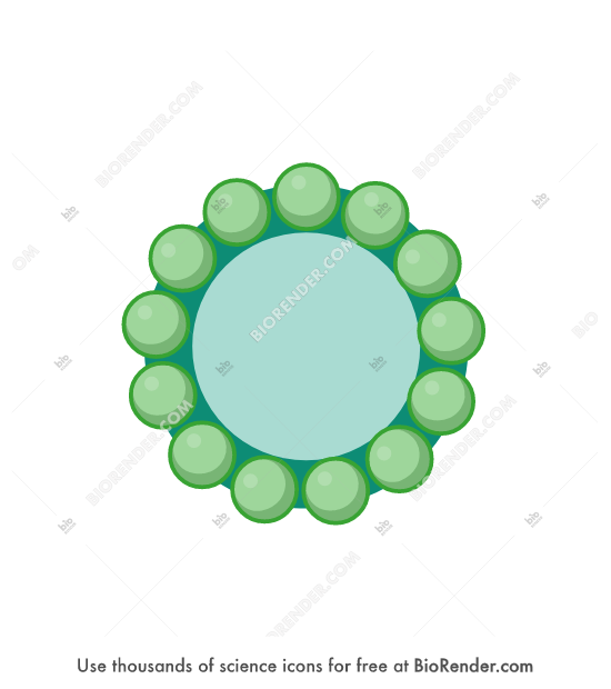 Free Microtubule (cross-section) Icons, Symbols & Images | BioRender