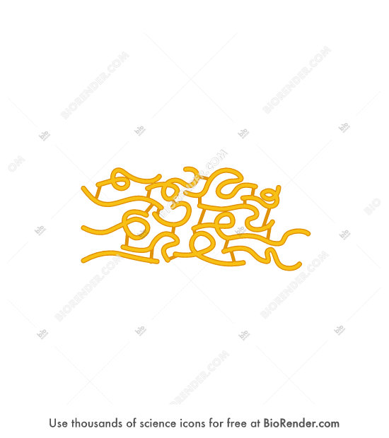 Free Elastin (relaxed) Icons, Symbols & Images | BioRender