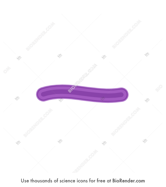 Free Mycobacterium Icons, Symbols & Images | BioRender