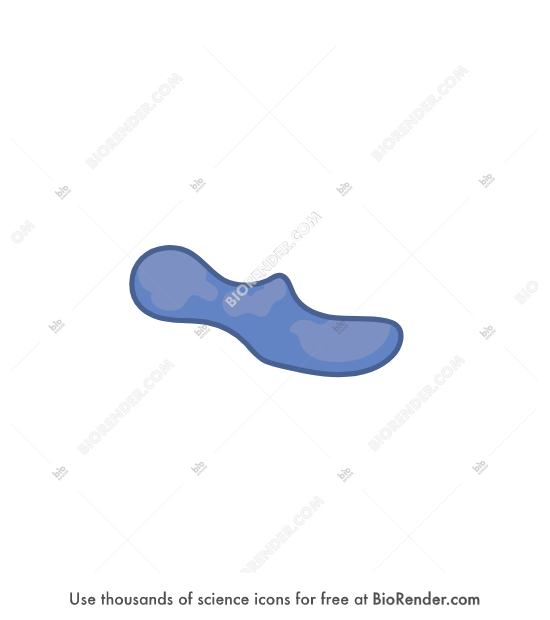 Free Generic protein (linear) Icons, Symbols & Images | BioRender