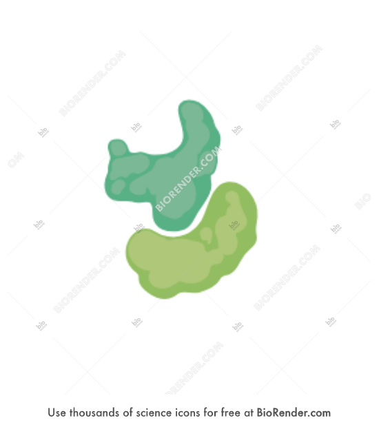 Free BCR-ABL (substrate + effector) Icons, Symbols & Images | BioRender