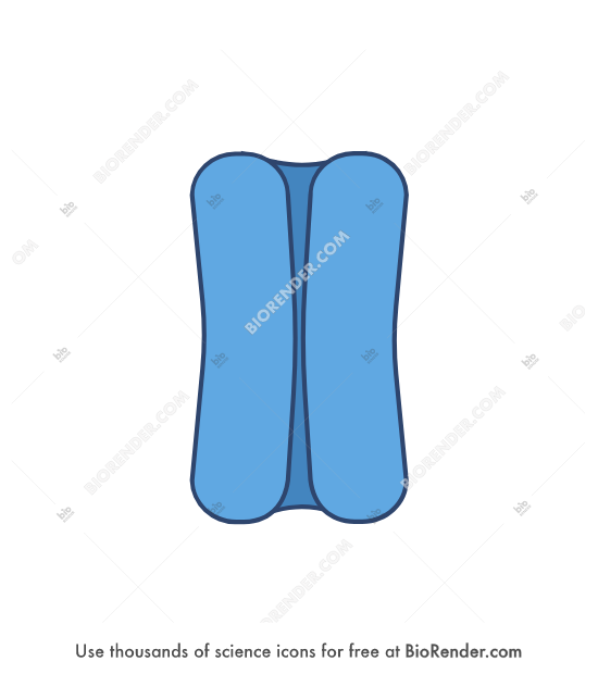 Free Ion Channel (generic, closed) Icons, Symbols & Images | BioRender