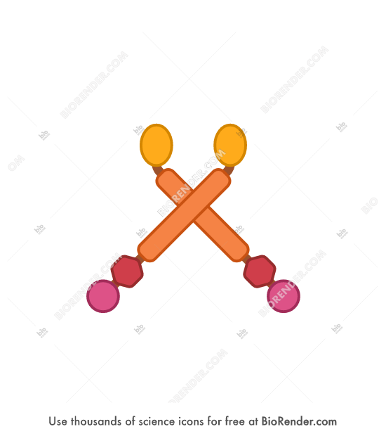 Free TRIM21 (dimer) Icons, Symbols & Images | BioRender