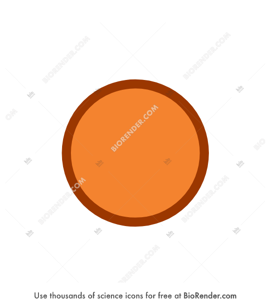 Free Gul Icons, Symbols & Images | BioRender