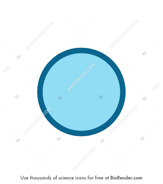 Free Tal Icons, Symbols & Images | BioRender