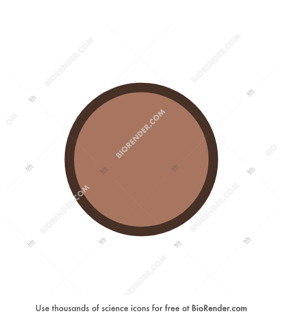 Free Ido Icons, Symbols & Images | BioRender