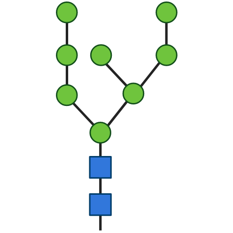 Glycans - BioRender | Life Science Icons