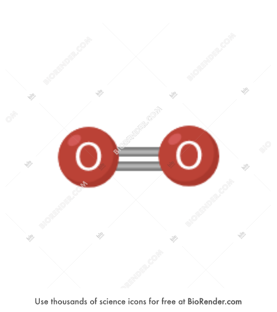 Free Oxygen Molecule Icons Symbols Images BioRender Free Oxygen Molecule Icons Symbols Images BioRender