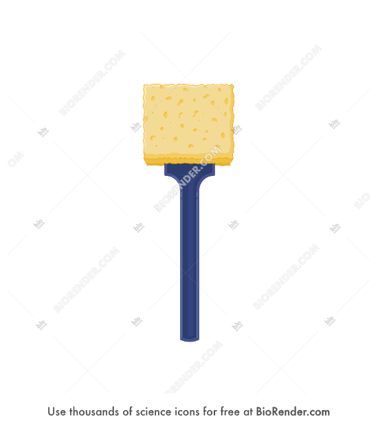 Free Sponge stick Icons, Symbols & Images | BioRender