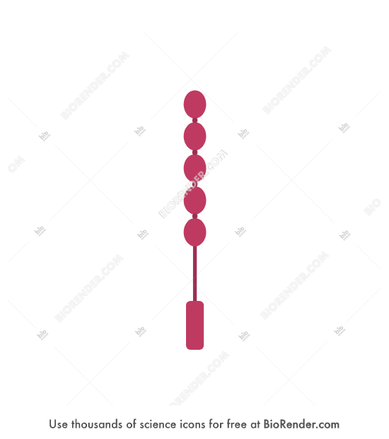 Free CDH11 Icons, Symbols & Images | BioRender