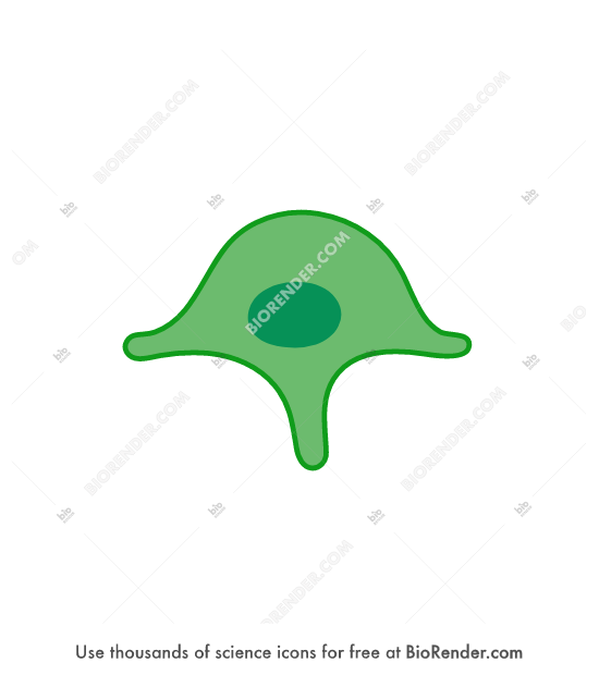 Free Anchor cell 3 Icons, Symbols & Images | BioRender