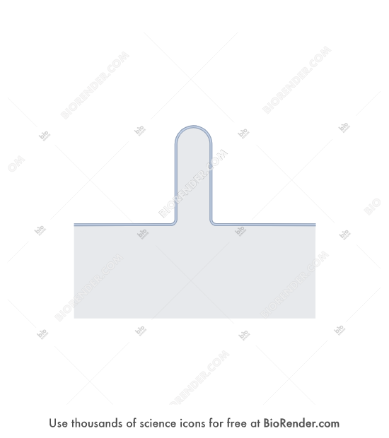 Free Protruding membrane Icons, Symbols & Images | BioRender