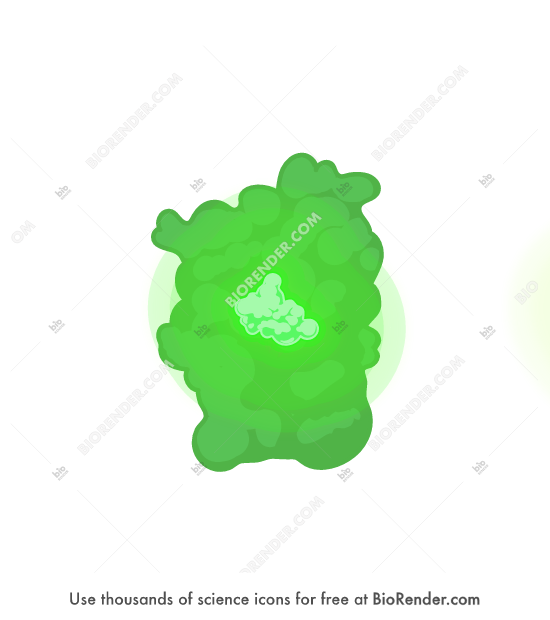 Free Generic fluorescent protein (surface structure) Icons, Symbols ...