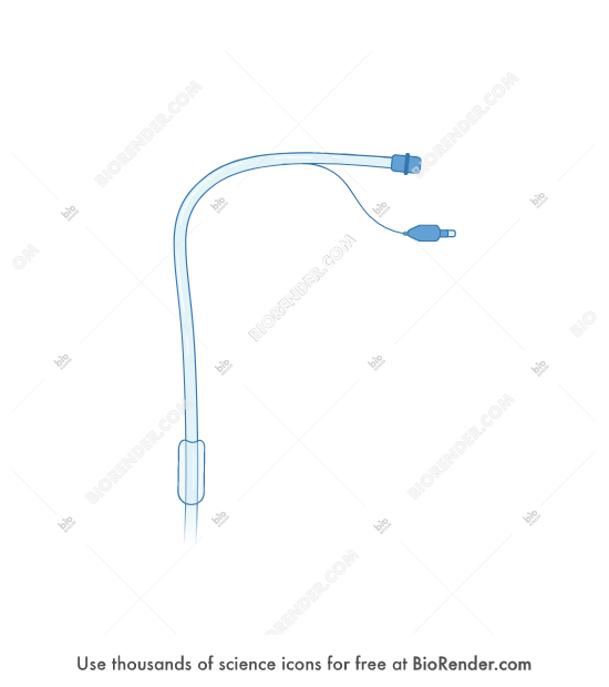 Free Tracheal tube Icons, Symbols & Images | BioRender