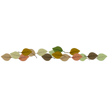 Leaf (litterfall) | Editable Science Icons from BioRender