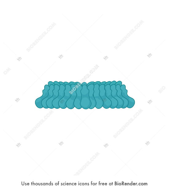 Free Membrane pore (Gasdermin D) Icons, Symbols & Images | BioRender