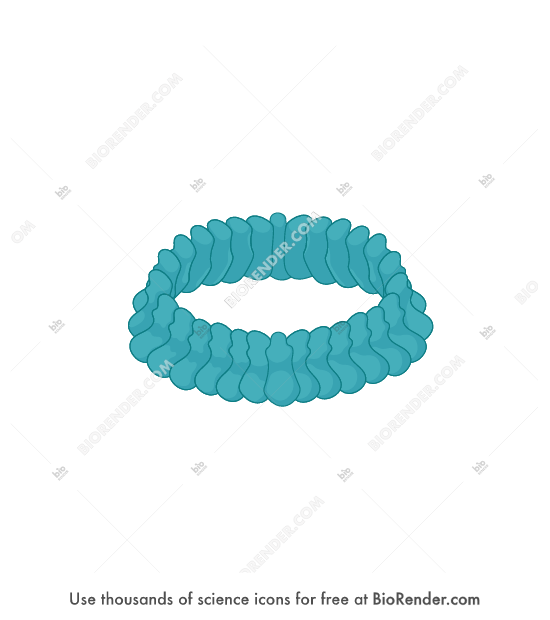 Free Membrane pore (Gasdermin D, tilted) Icons, Symbols & Images ...