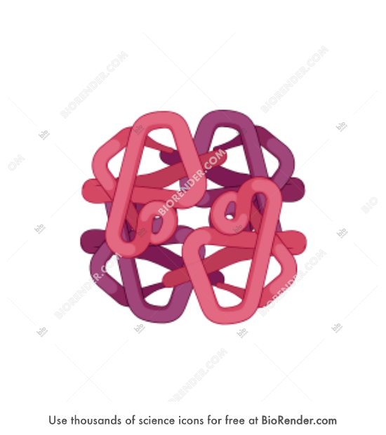 Free Hemoglobin (editable chains) Icons, Symbols & Images | BioRender