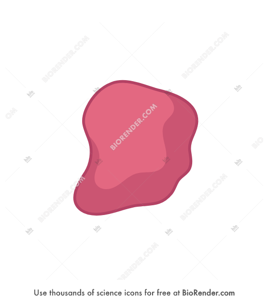 Free Membrane pore (GSDMD-C) Icons, Symbols & Images | BioRender