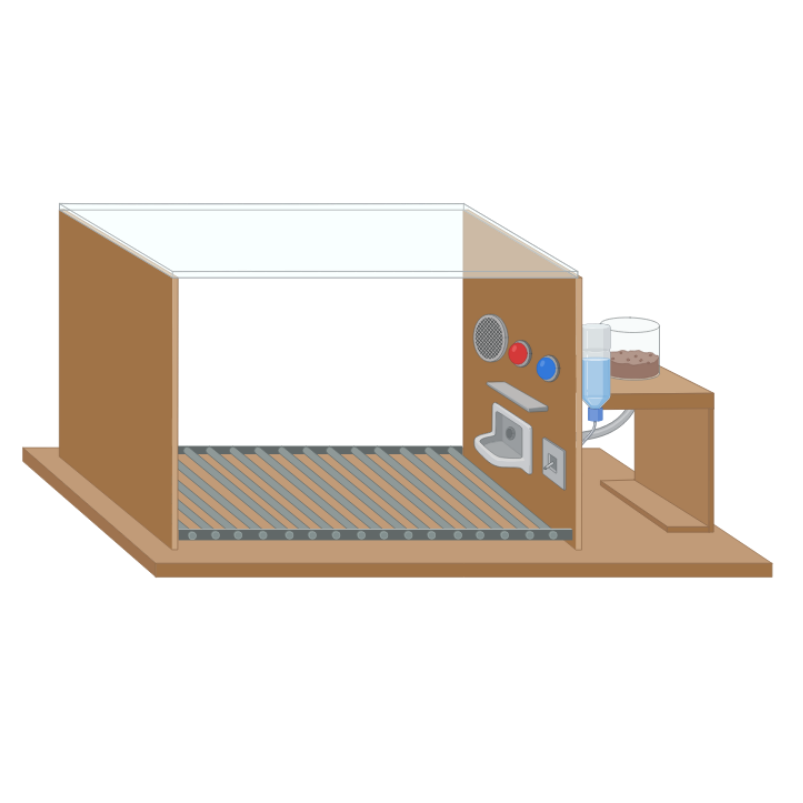 Free Skinner box Icons, Symbols & Images | BioRender