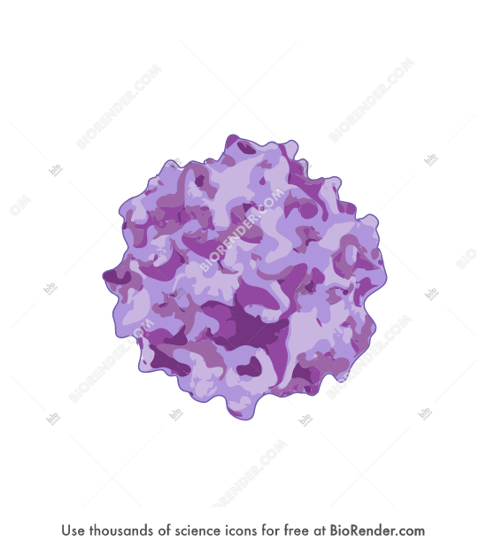 Free Adeno-associated virus (AAV) Icons, Symbols & Images | BioRender