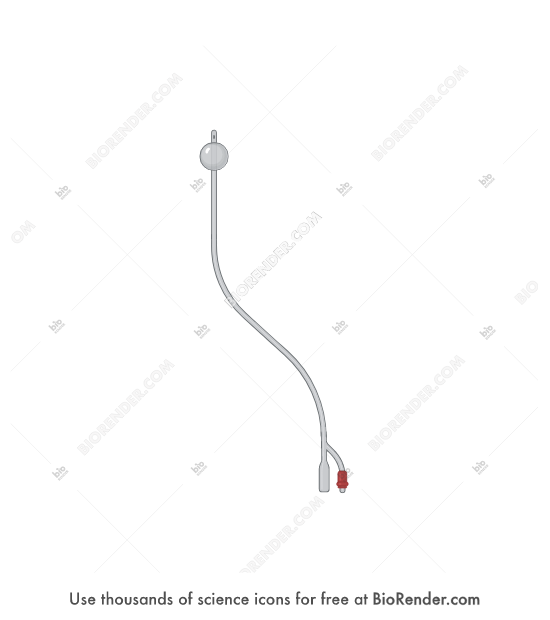 Free Foley catheter Icons, Symbols & Images | BioRender