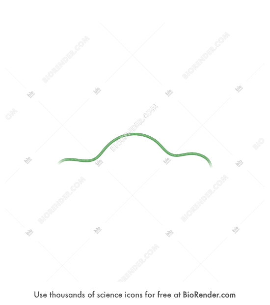 Free Microtubule (simplified 5) Icons, Symbols & Images | BioRender
