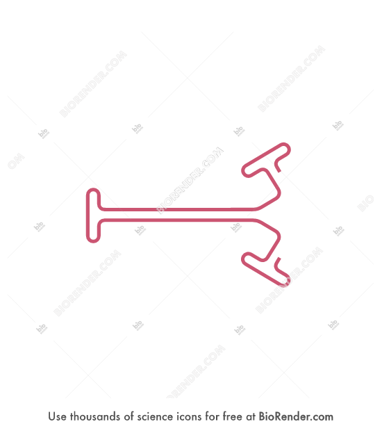 Free AAV genome (scAAV) Icons, Symbols & Images | BioRender