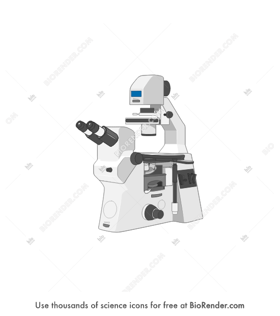 Inverted Microscope- Definition, Principle, Parts, Labeled, 57% OFF