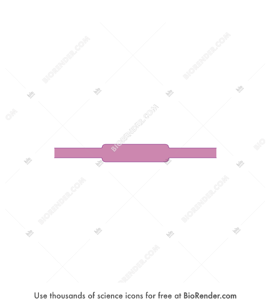 Free Myelin sheath (axon) Icons, Symbols & Images | BioRender